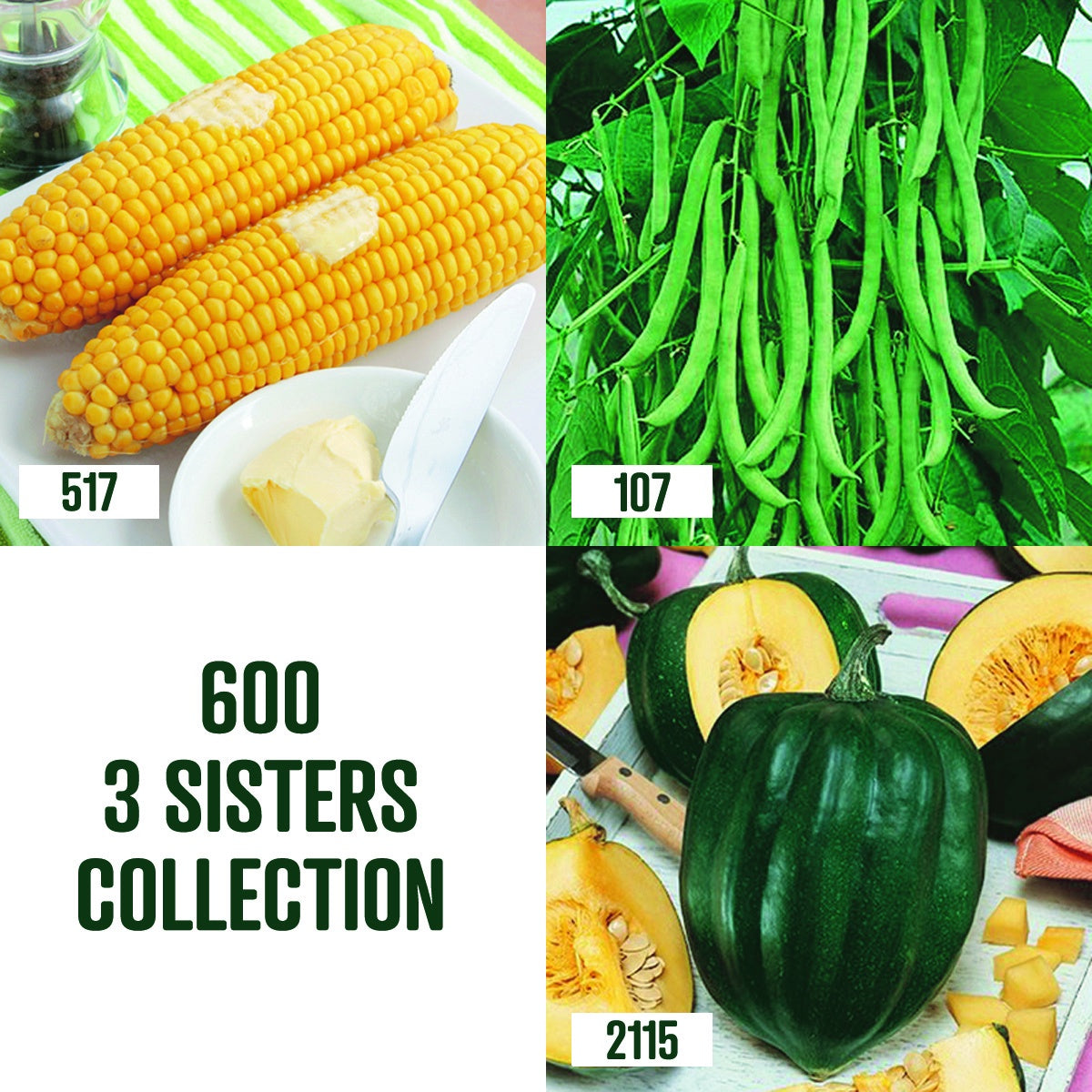3 Sisters Collection Seeds - Corn Bean Squash | T&T Seeds